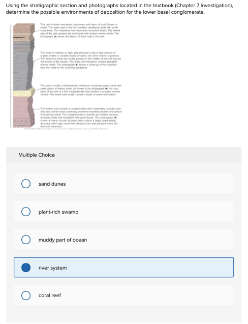 Solved Using the stratigraphic section and photographs | Chegg.com