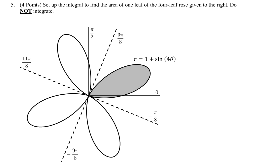 Solved Set up the integral to find the area of one leaf of | Chegg.com