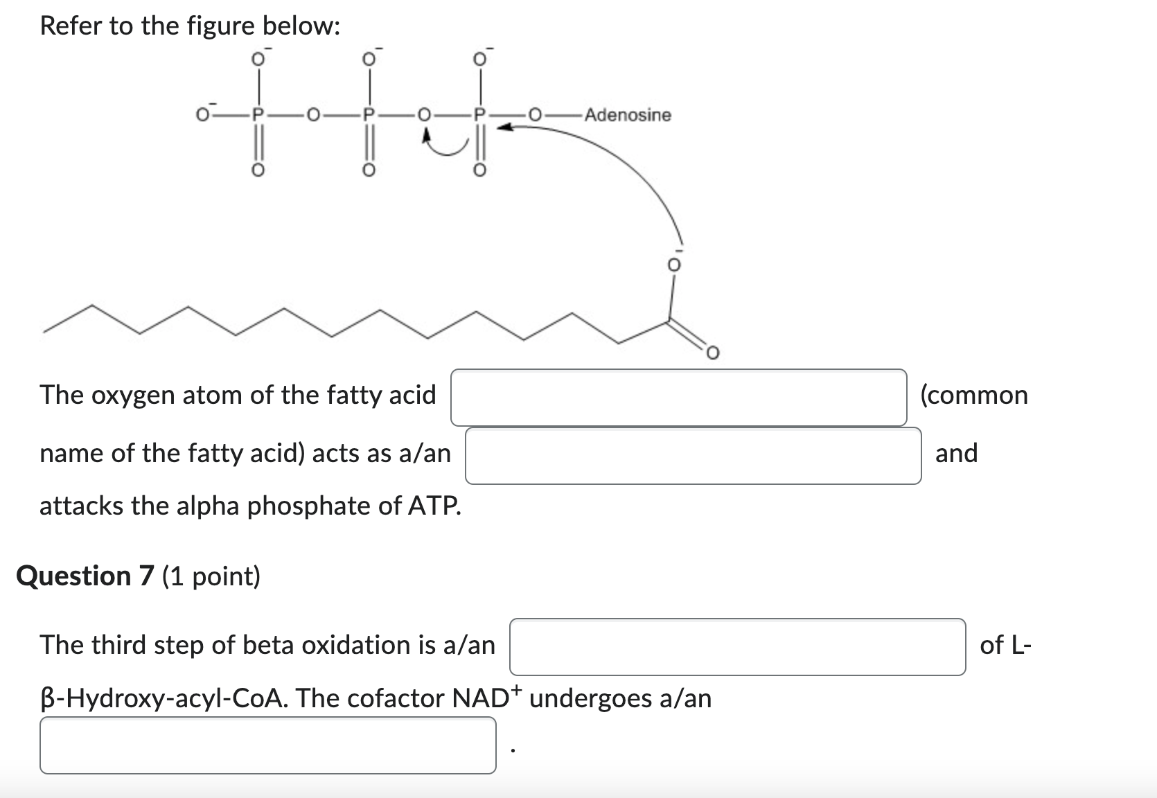Solved Refer to the figure below: The oxygen atom of the | Chegg.com Solved Refer to the figure below: The oxygen atom of the | Chegg.com