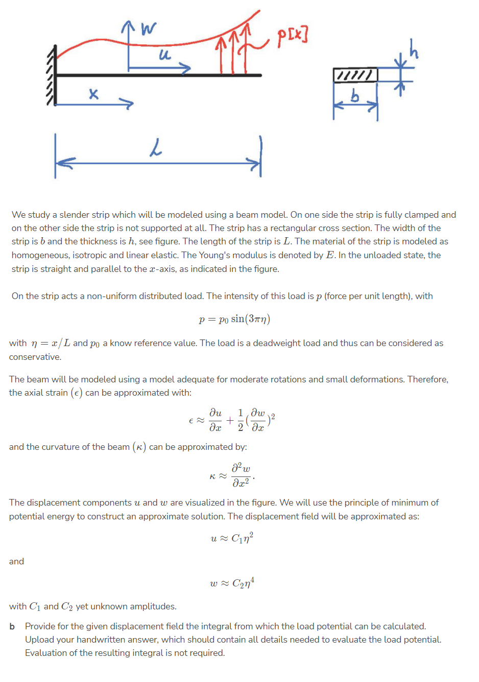 A W Pex] u и 17 L We study a slender strip which will | Chegg.com
