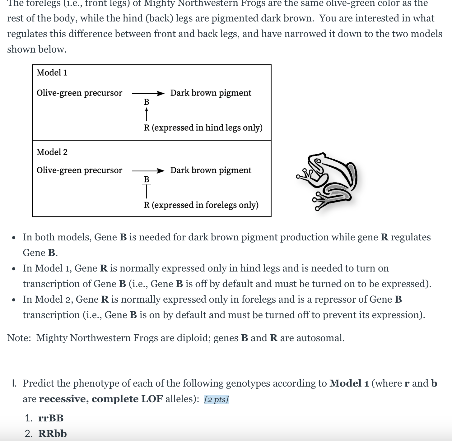 Solved The forelegs (1.e., ﻿front legs) ﻿of Mighty | Chegg.com