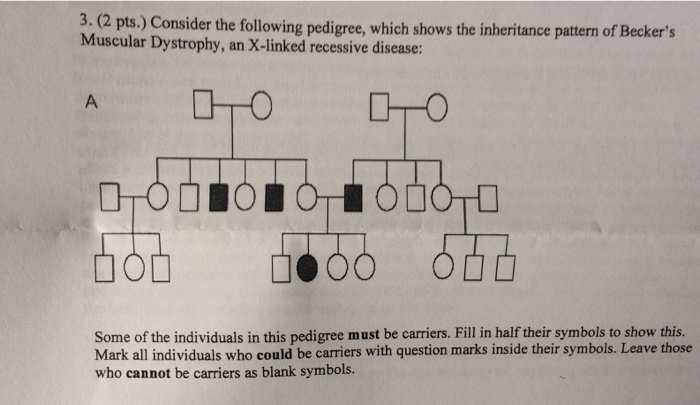 Solved 3. (2 pts.) Consider the following pedigree, which | Chegg.com