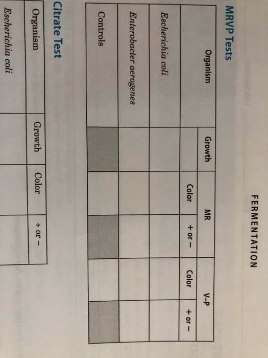 Solved FERMENTATION MRVP Tests Organism Growth MR V-p Color | Chegg.com