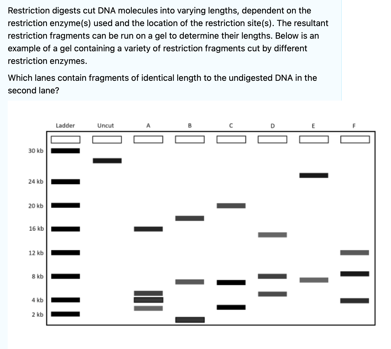 Solved Restriction digests cut DNA molecules into varying | Chegg.com