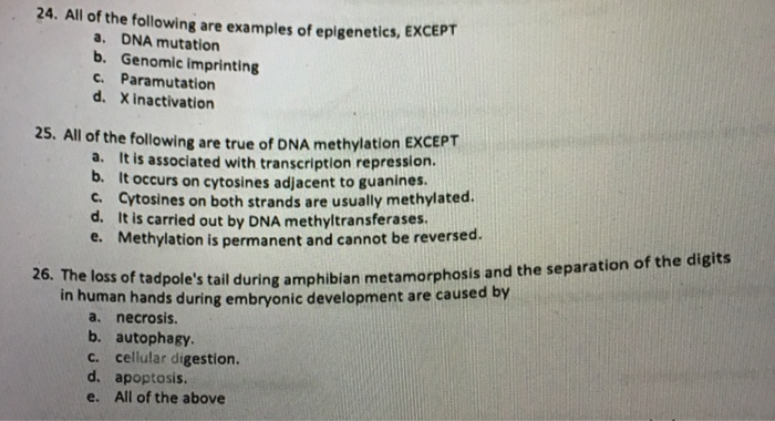 Solved 24. All of the following are examples of epigenetics, | Chegg.com