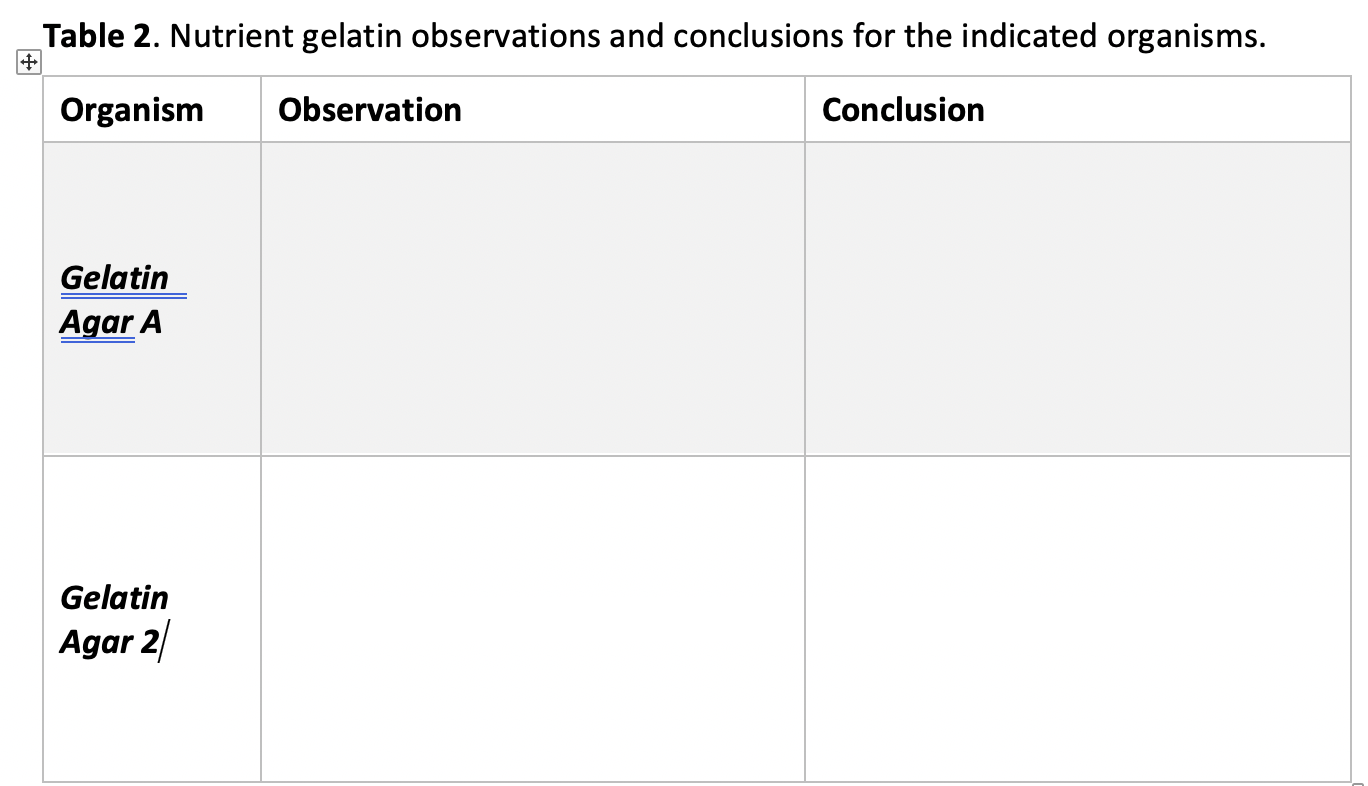Solved Table 2. Nutrient gelatin observations and | Chegg.com