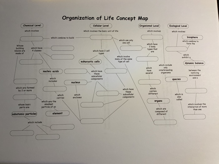 Solved Organization of Life Concept Map Chemical Level | Chegg.com