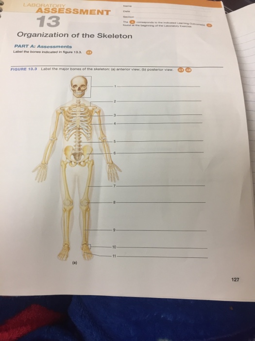Biology Archive | February 28, 2017 | Chegg.com