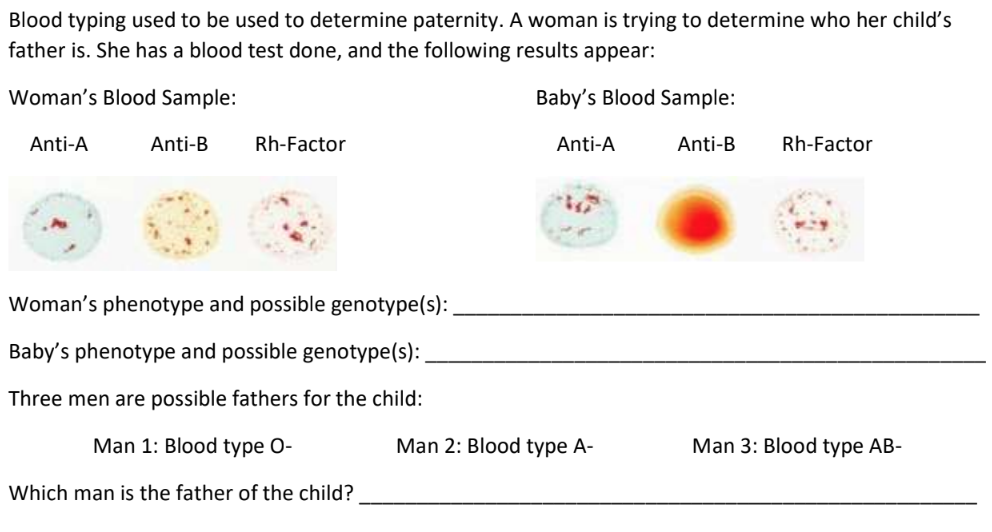 Solved A mother has type A blood, and a father has type B | Chegg.com