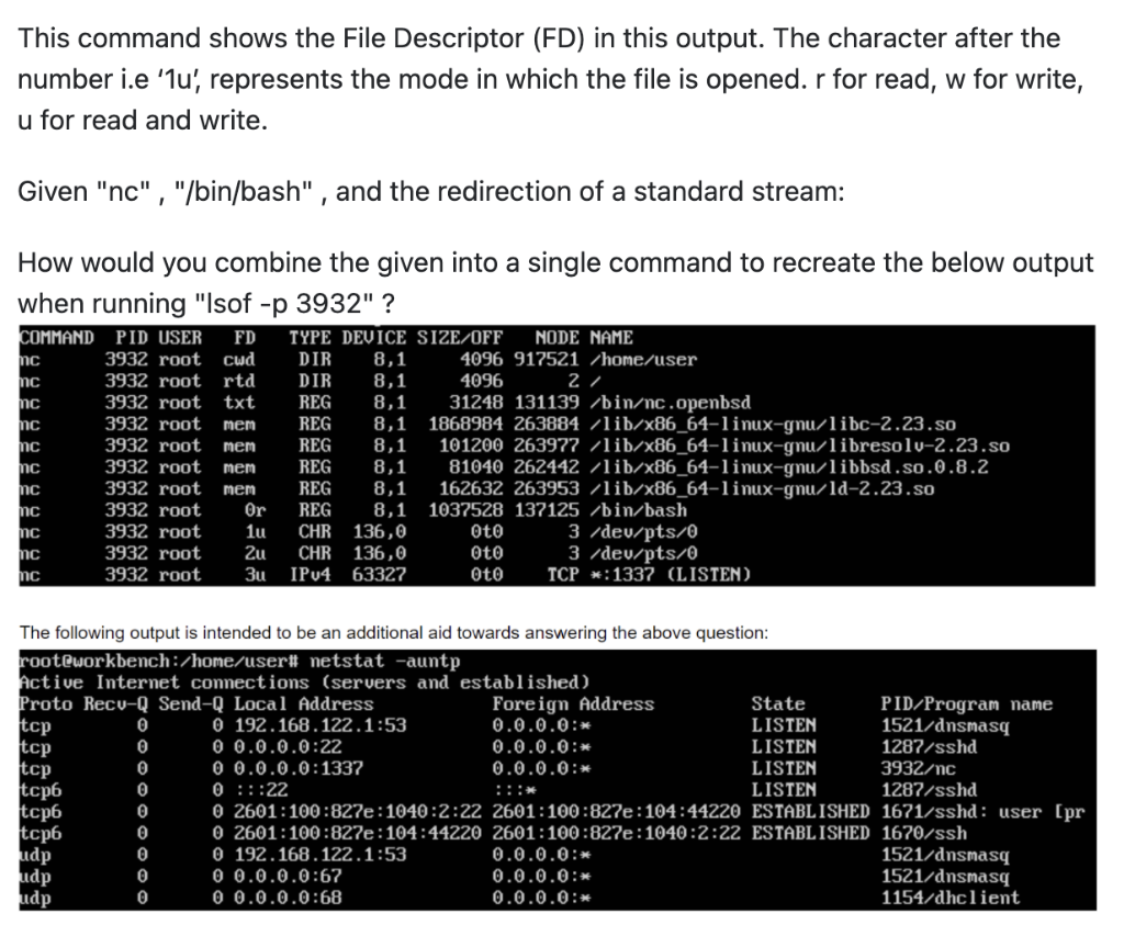 This command shows the File Descriptor (FD) in this | Chegg.com
