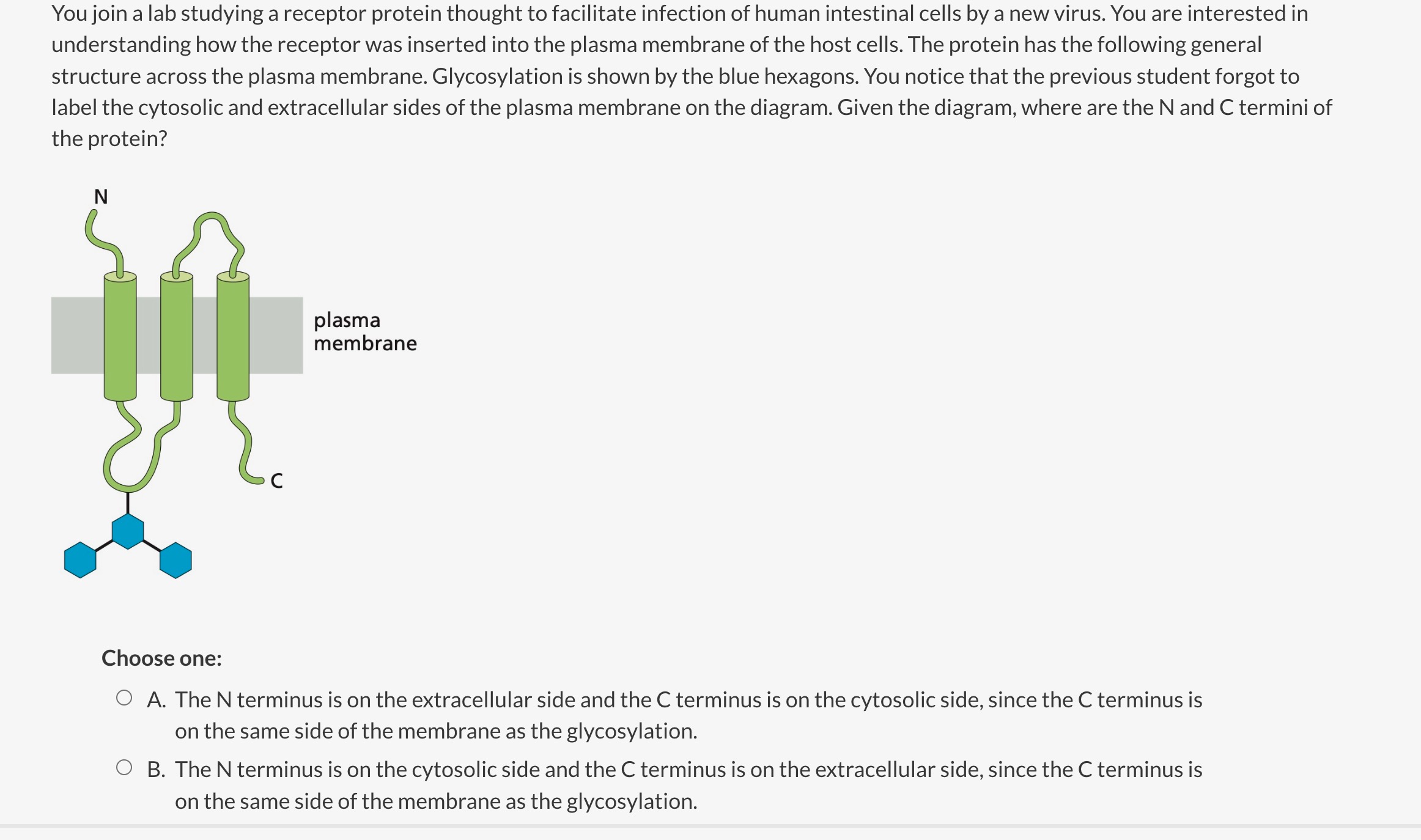 Solved You join a lab studying a receptor protein thought to | Chegg.com