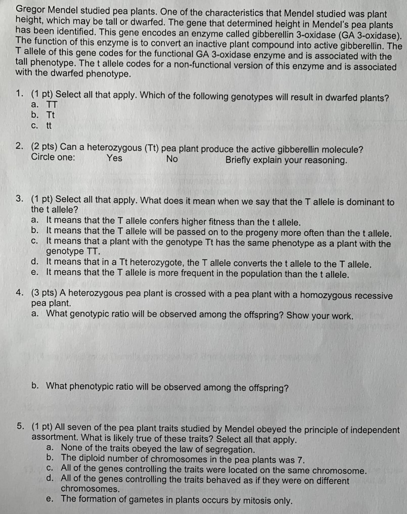 Solved Gregor Mendel studied pea plants. One of the | Chegg.com