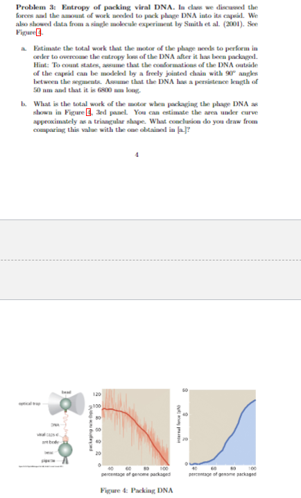 Solved Problem 3: Entropy of packing viral DNA. In class we | Chegg.com