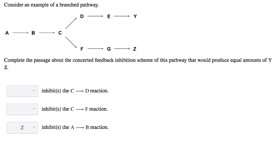 Solved Consider an example of a branched pathway. - E- A — B | Chegg.com