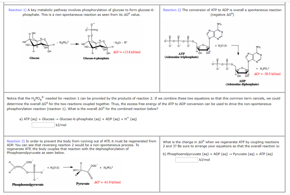Solved Reaction 1) A key metabolic pathway involves phos | Chegg.com