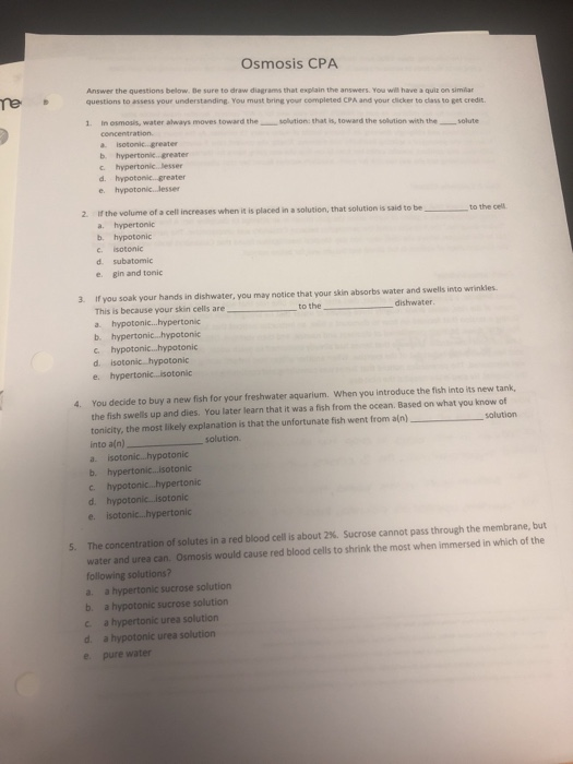 Solved Osmosis CP Answer the questions below. Be sure to | Chegg.com