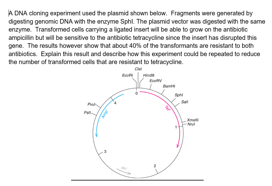 Solved A DNA cloning experiment used the plasmid shown | Chegg.com