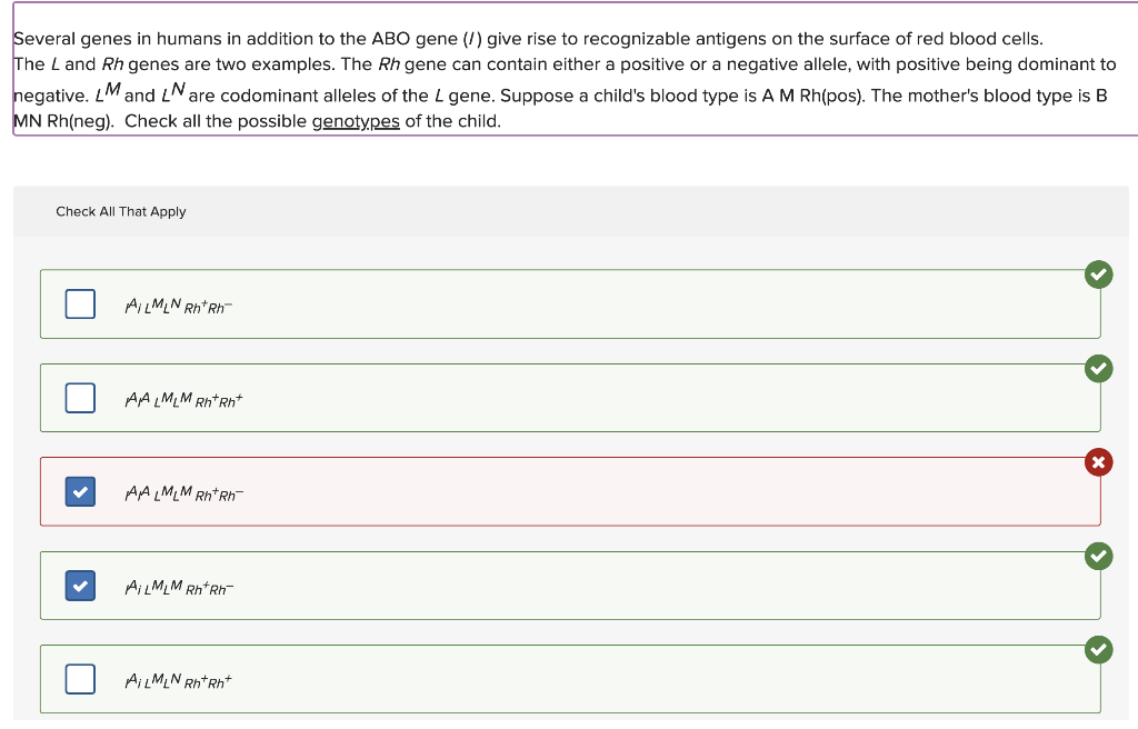 Solved Several genes in humans in addition to the ABO gene | Chegg.com