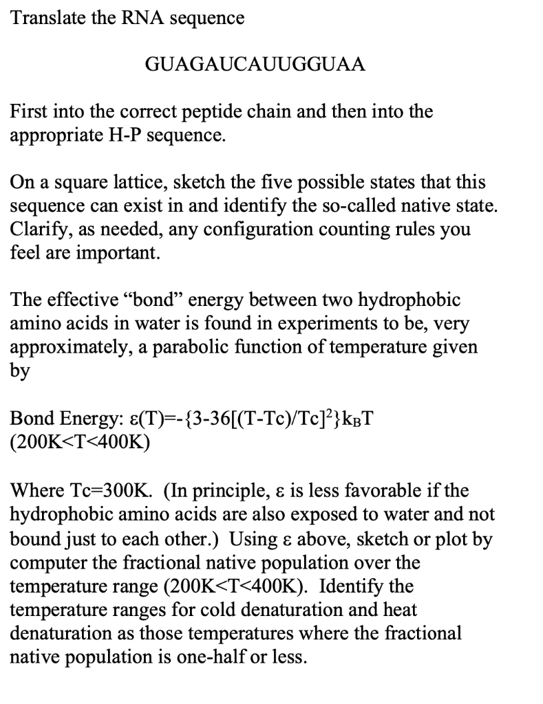 Translate the RNA sequence GUAGAUCAUUGGUAA First into | Chegg.com