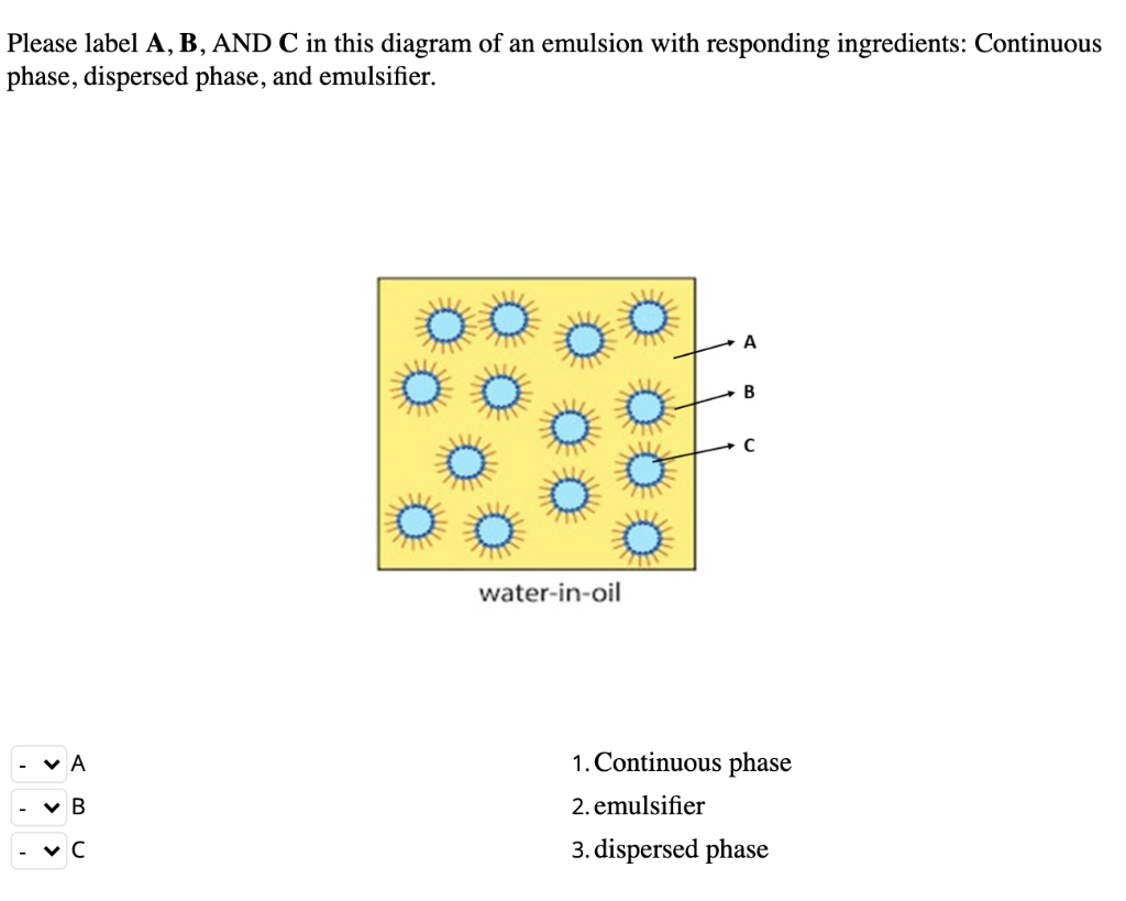 Solved Please label A, B, AND C in this diagram of an | Chegg.com