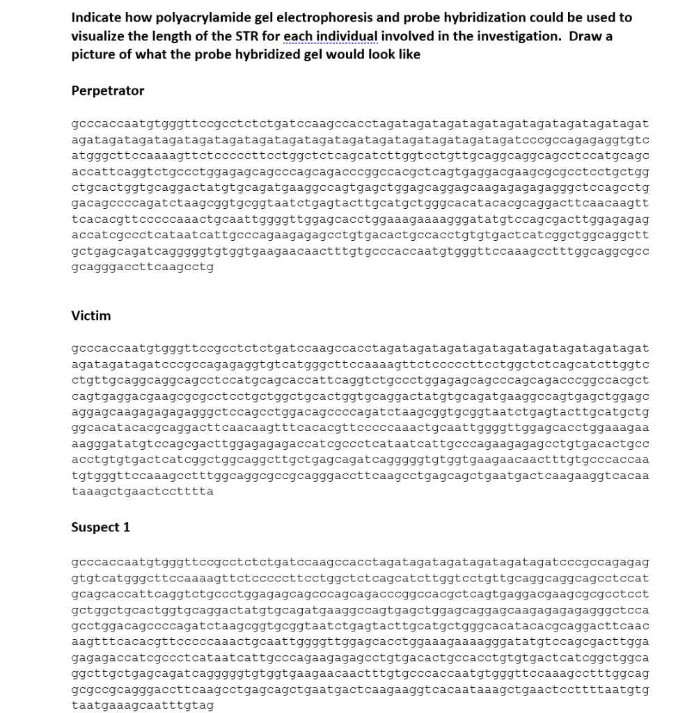 Solved Forensic Science Exercise A person is found dead. The | Chegg.com