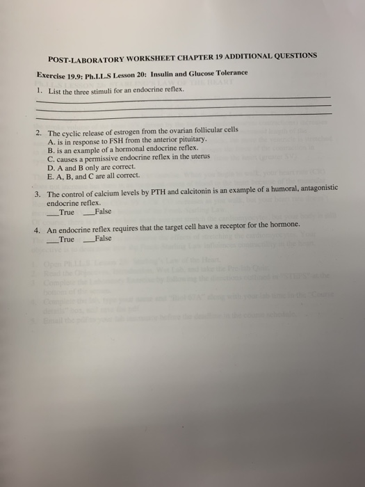 Solved POST LABORATORY WORKSHEET CHAPTER 19 ADDITIONAL | Chegg.com