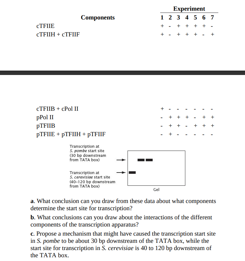 The locations of the TATA box in two species of | Chegg.com