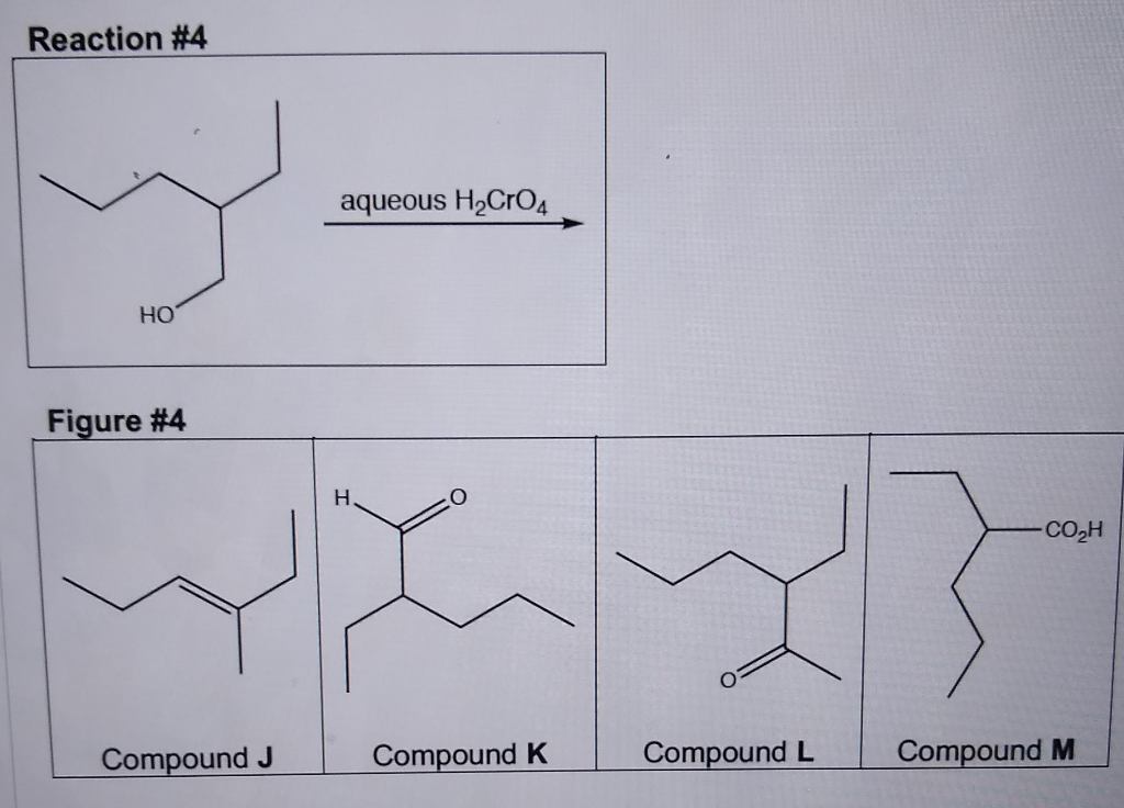 Solved Which one of the compounds in Figure #4 is the major | Chegg.com