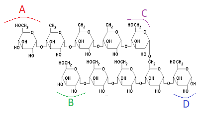Solved Glycogen phosphorylase (GP) targets the non-reducing | Chegg.com