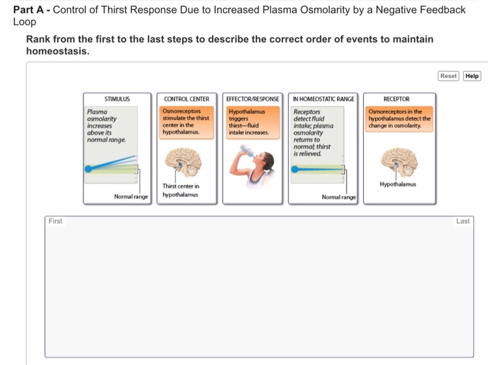Anatomy And Physiology Archive | November 17, 2017 | Chegg.com