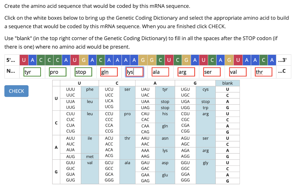Solved Create the amino acid sequence that would be coded by | Chegg.com