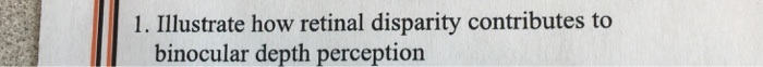 Solved 1. Illustrate how retinal disparity contributes to | Chegg.com