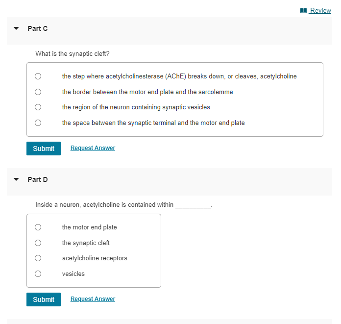 Solved Part CWhat is the synaptic cleft?the step where | Chegg.com