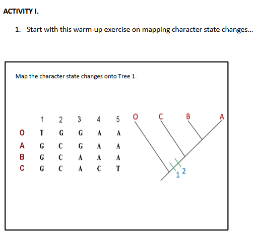 Solved ACTIVITY I.Start with this warm-up exercise on | Chegg.com