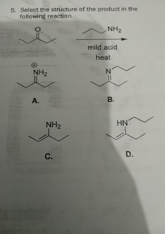 Solved 5. Select the structure of the product in the | Chegg.com