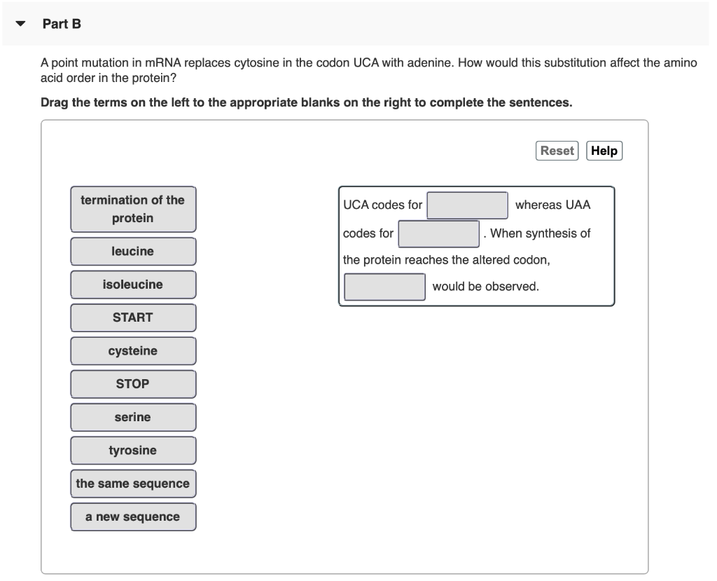 Solved Part A A point mutation in the mRNA for an enzyme | Chegg.com