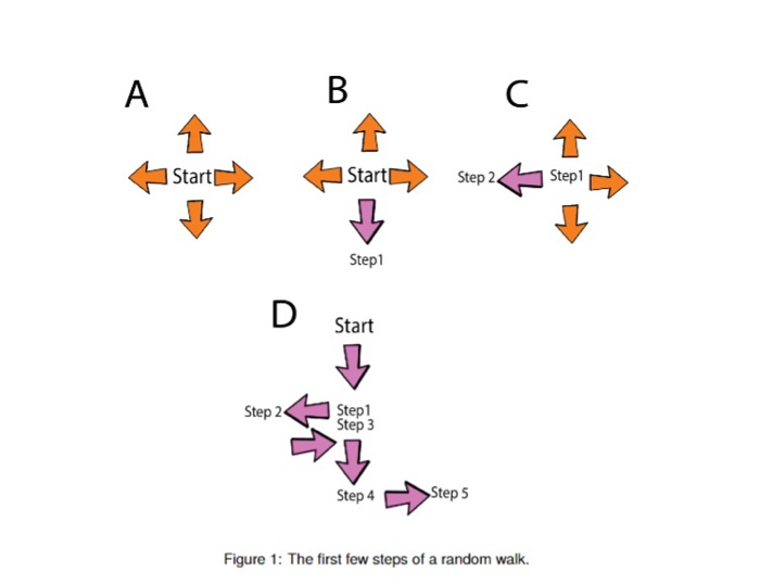 Solved A random walk is a stochastic process. A stochastic | Chegg.com