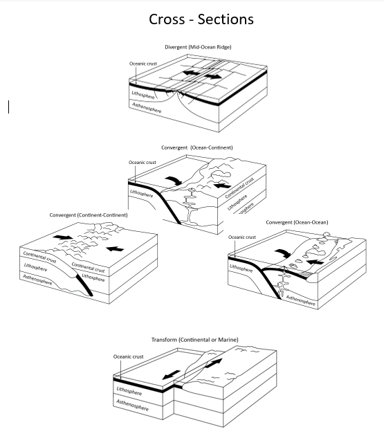 Solved Match each Focus Area to the cross-section that shows | Chegg.com