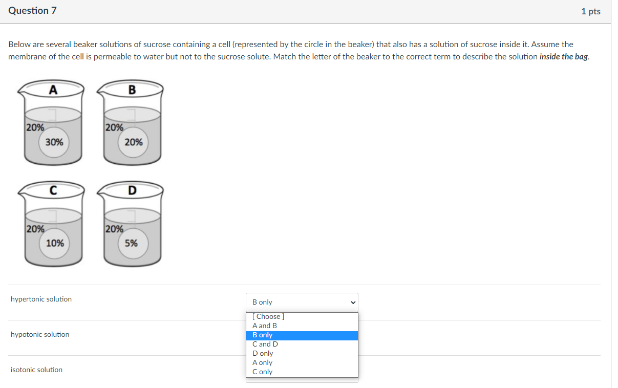 Solved Question 7 1 pts Below are several beaker solutions | Chegg.com