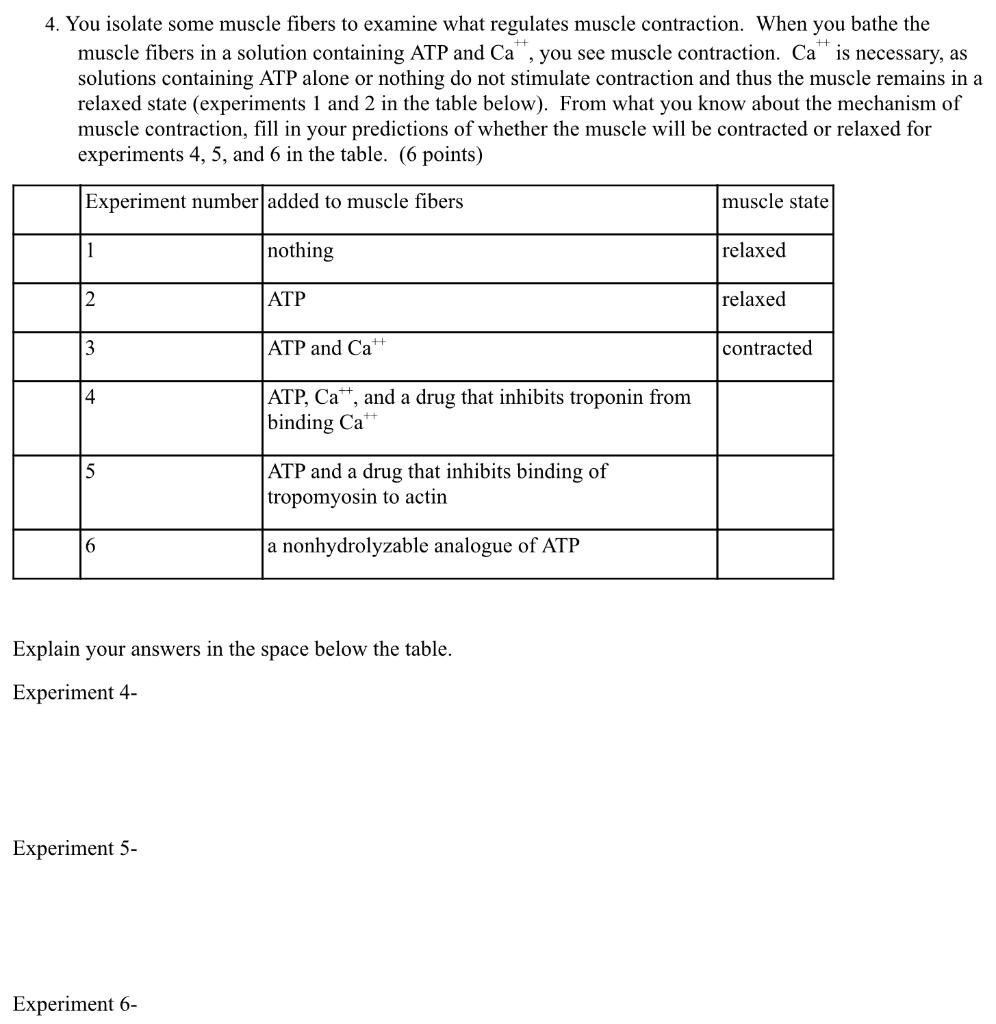 Solved 4. You isolate some muscle fibers to examine what | Chegg.com