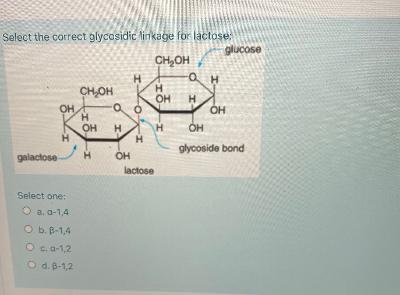Solved Select the correct glycosidic linkage for lactose: | Chegg.com