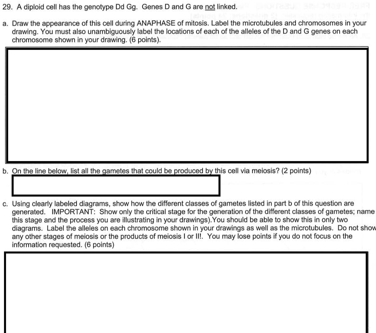 Solved 29. A diploid cell has the genotype Dd Gg. Genes D | Chegg.com