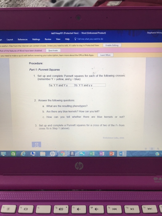 Solved Stephanie M lab014exp001 (Protected View) - Word | Chegg.com