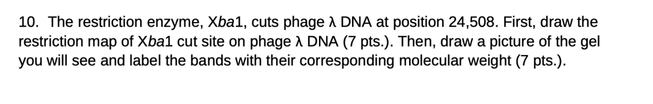 Solved 10. The restriction enzyme, Xbal, cuts phage , DNA at | Chegg.com