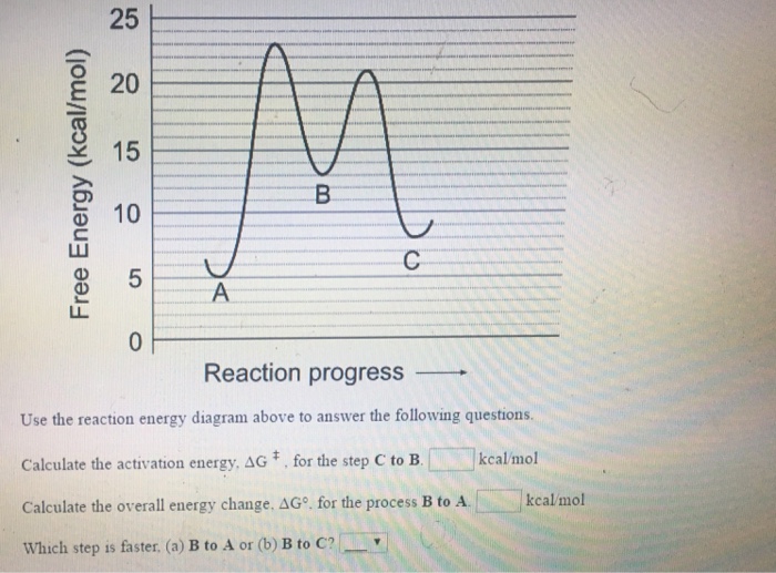 Solved Use the reaction energy diagram above to answer the | Chegg.com