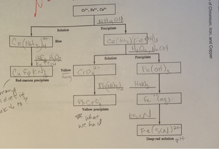 Solved How do we write chemical equations for every reaction | Chegg.com