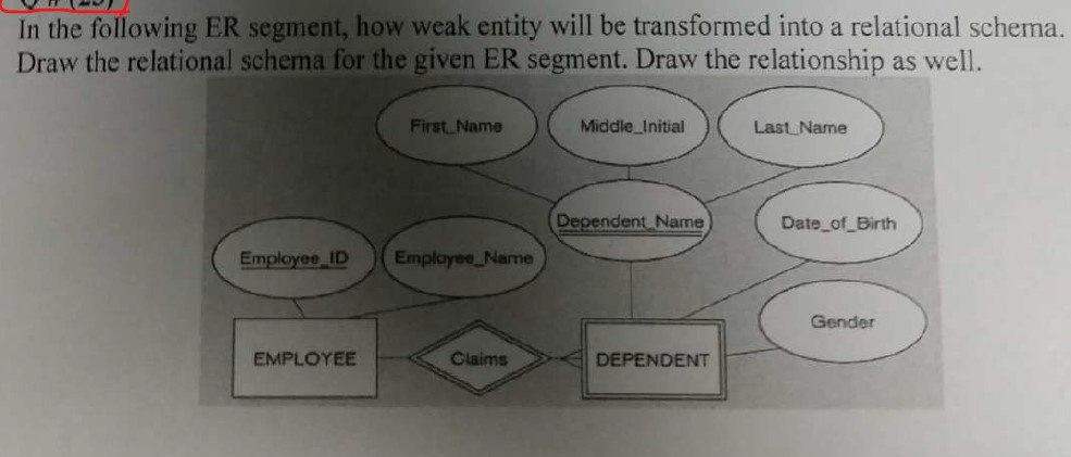 Solved In the following diagram a segment of an Entity | Chegg.com