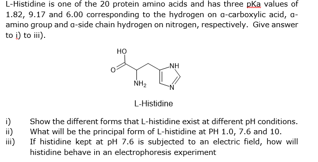 Solved L-Histidine is one of the 20 protein amino acids and | Chegg.com