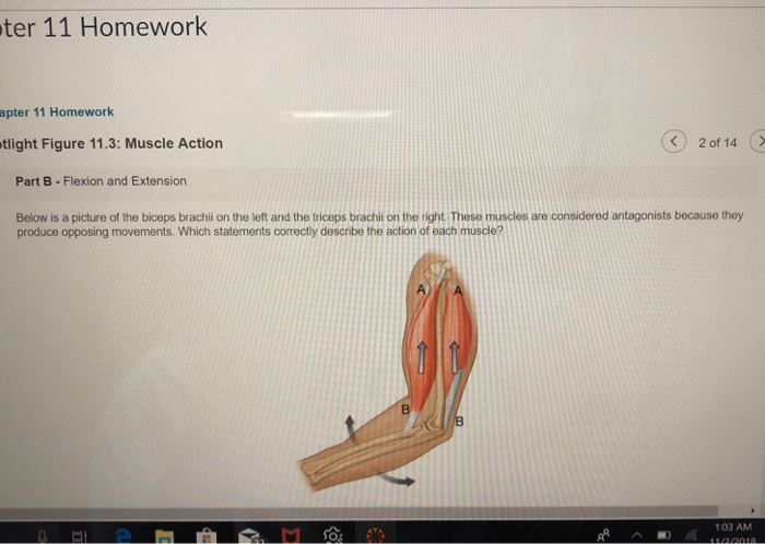 Solved ter 11 Homework apter 11 Homework tlight Figure 11.3: | Chegg.com