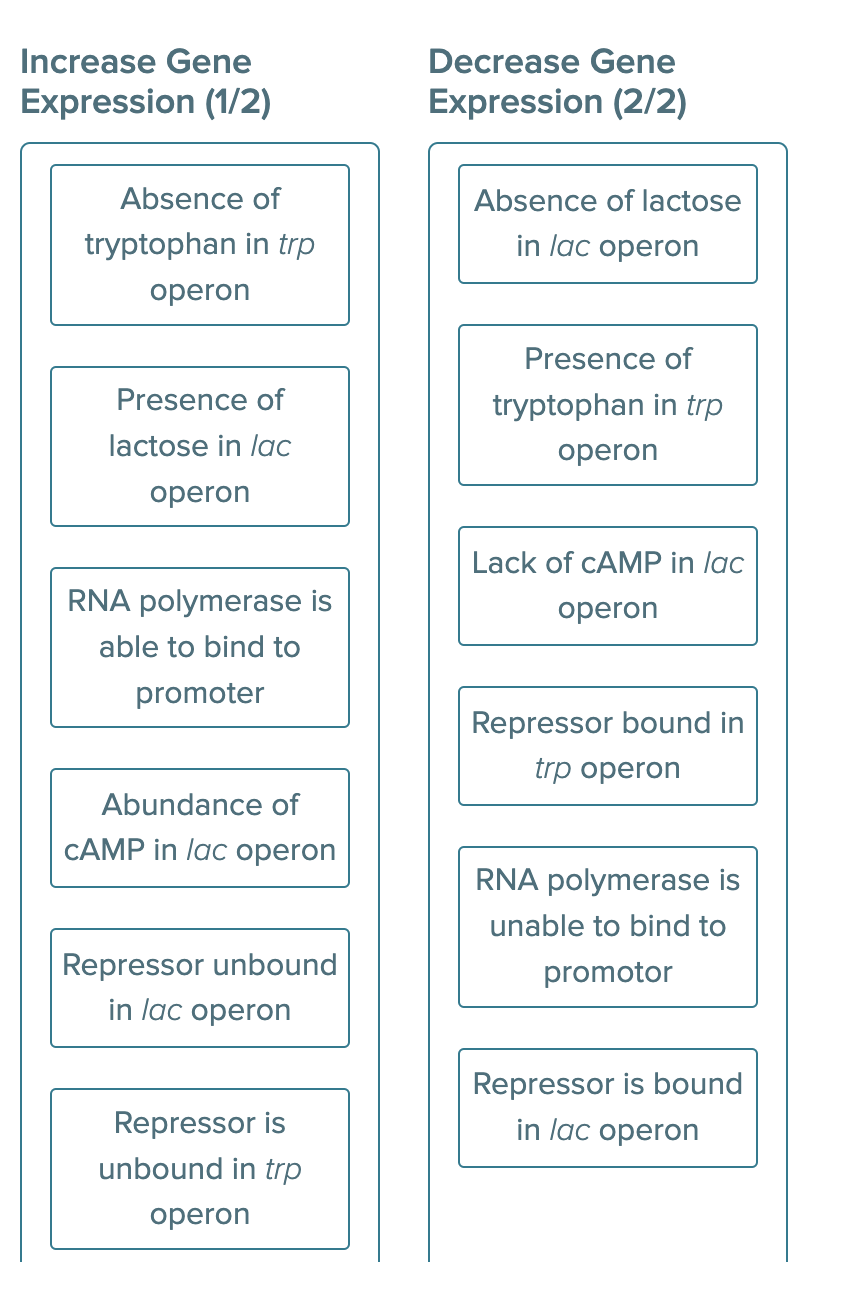 Solved Classify the following scenarios depending on whether | Chegg.com